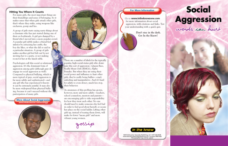 Social Aggression Pamphlet – Understanding Relational Bullying