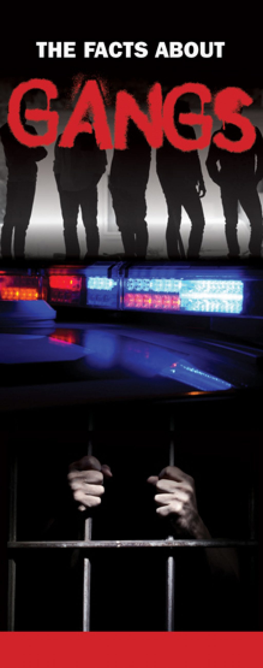 The Facts About Gangs Pamphlets – Gang Prevention Brochure