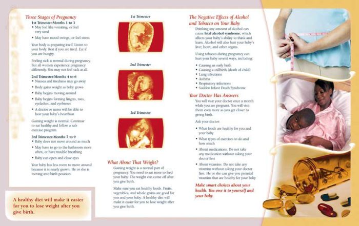 Pregnancy: How to Keep You and Baby Happy & Healthy Pamphlet