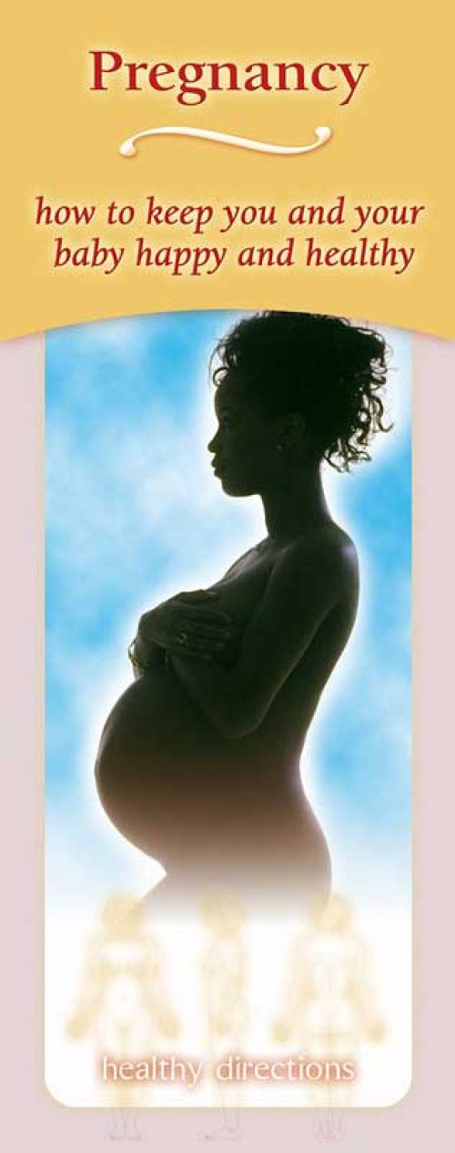 Pregnancy Pamphlet | Prevention and Treatment Resource Press