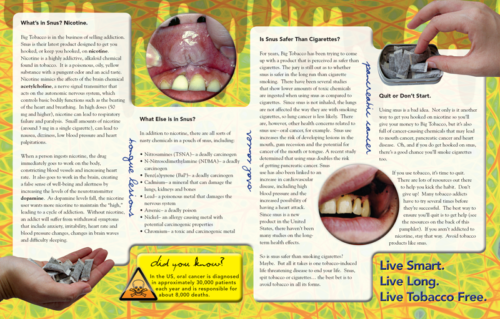 Know the Risks: Snus Spitless Tobacco Pamphlet