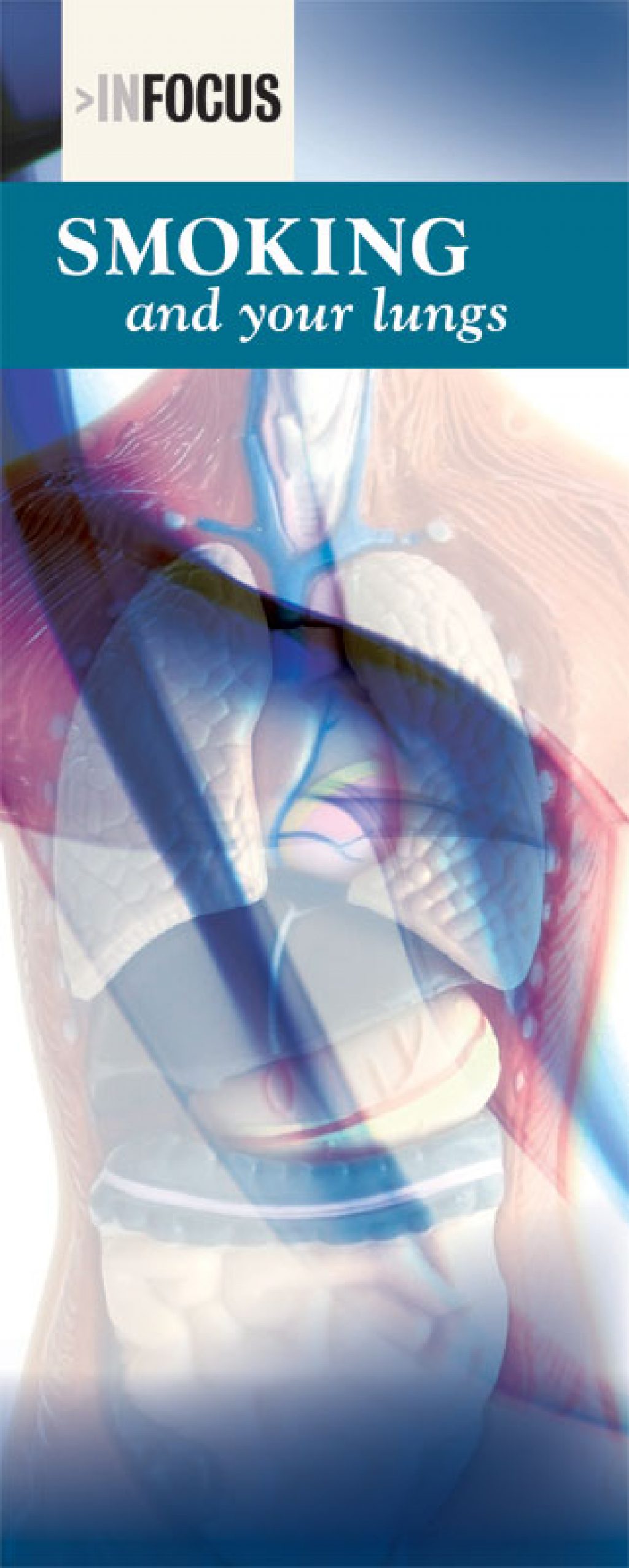 Smoking and Lung Disease Pamphlets | Prevention Education