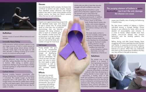 Bulimia Awareness Pamphlet | Prevention Education Resources