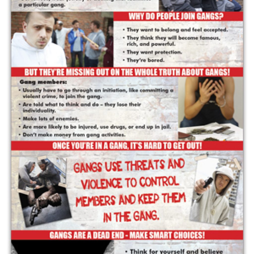 The Facts About Gangs Retractable Display | Prevention Resources