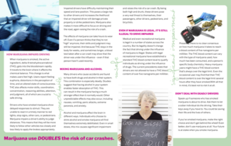 Marijuana & Driving Pamphlets - Prevention Education Brochures