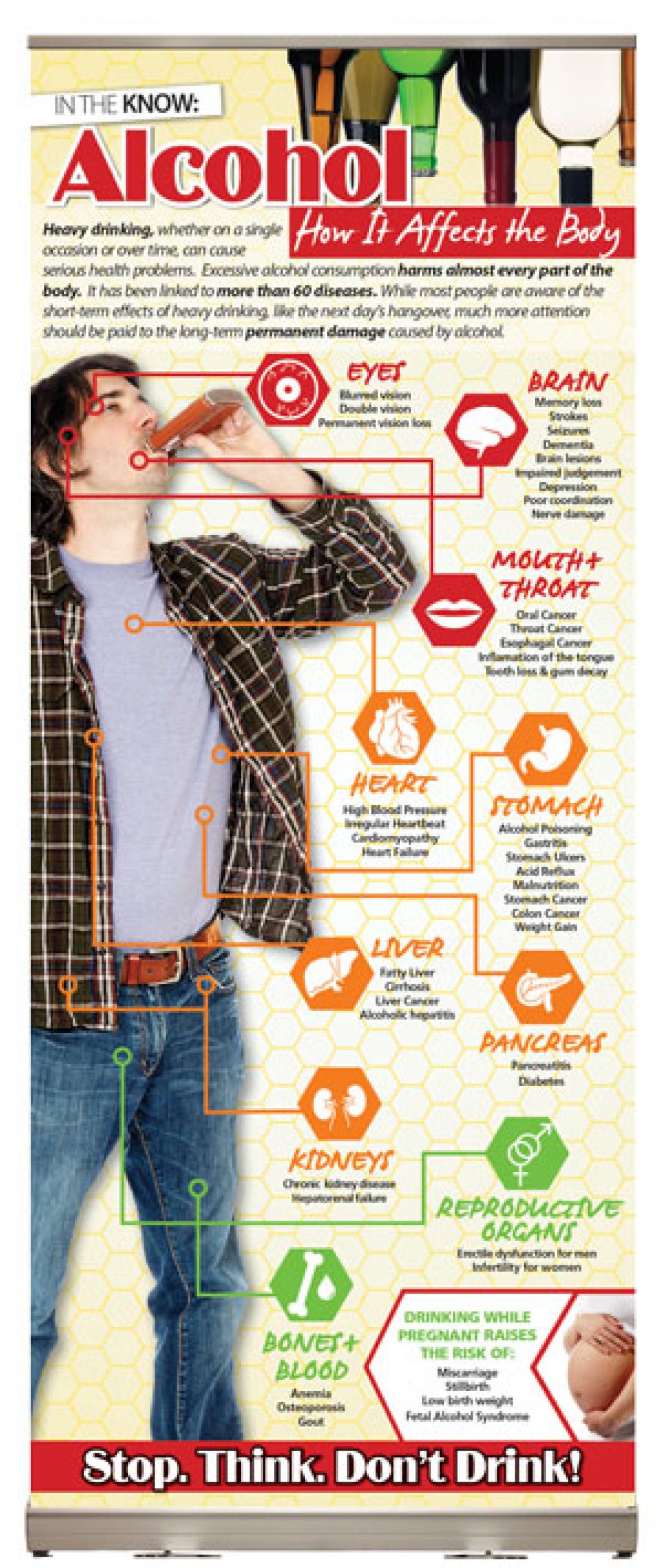 Alcohol and Your Body | Prevention and Treatment Resource Press