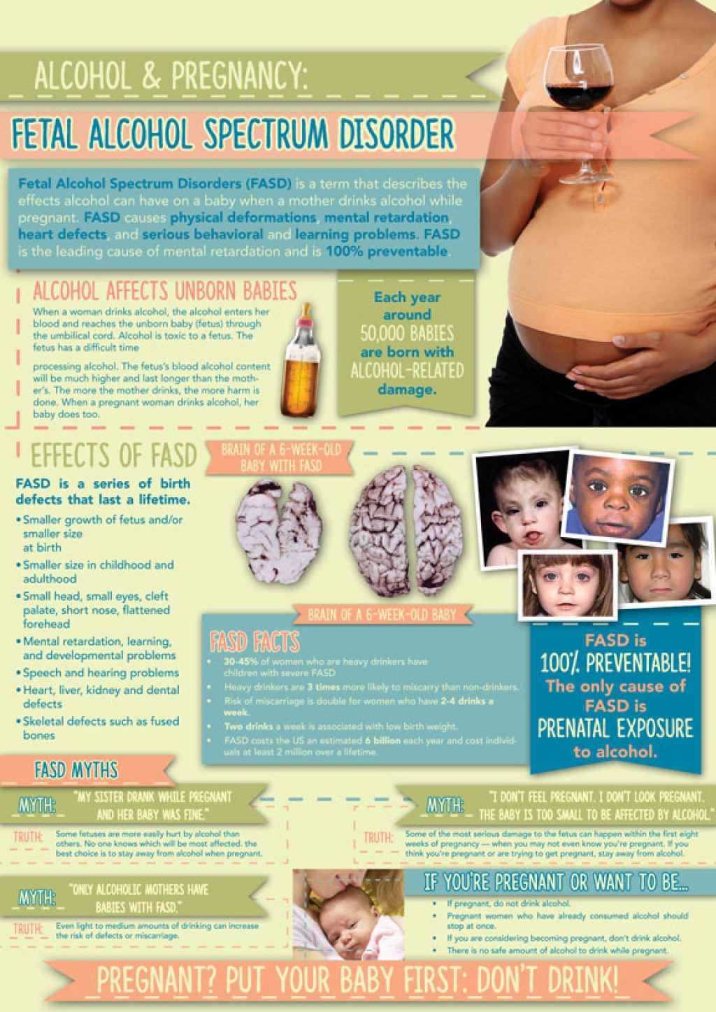 Alcohol & Pregnancy: Fetal Alcohol Spectrum Disorder Wall Display ...