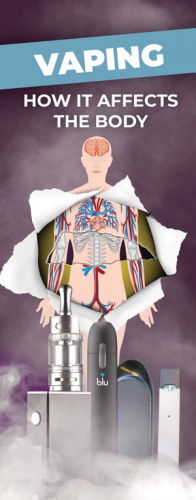 How Vaping Affects The Body Pamphlet | Prevention Treatment Resources