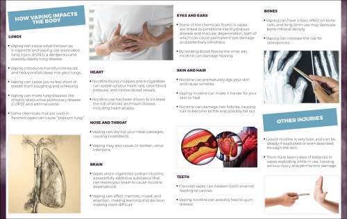 How Vaping Affects The Body Pamphlet | Prevention Treatment Resources