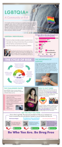 LGBTQIA+ Awareness: A Community at Risk Presentation Display