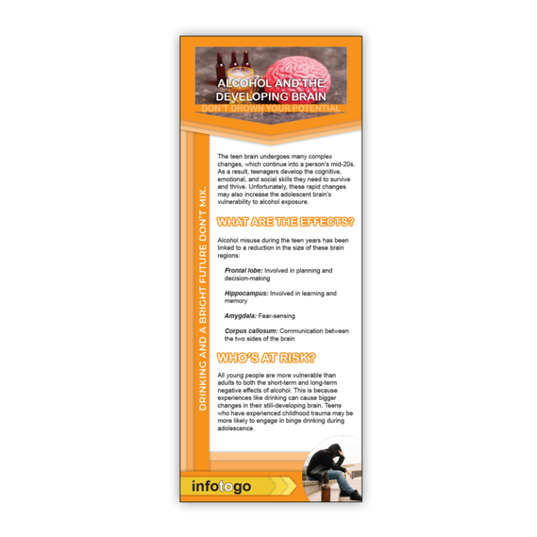 Alcohol and the Developing Brain Rack Cards