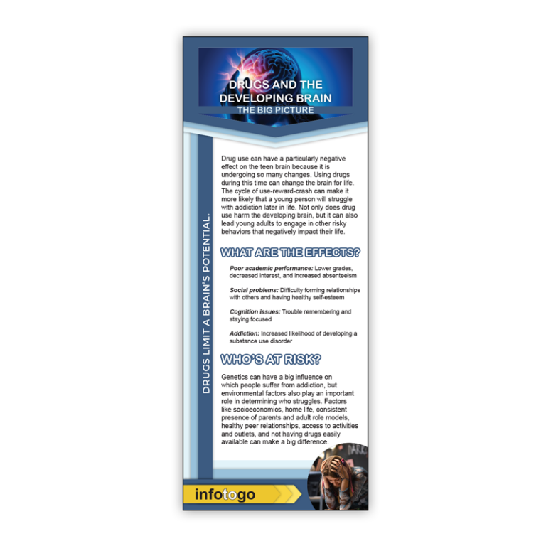 Drugs and the Developing Brain Rack Cards
