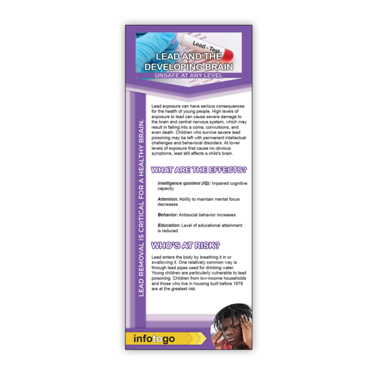 Lead and the Developing Brain Rack Cards